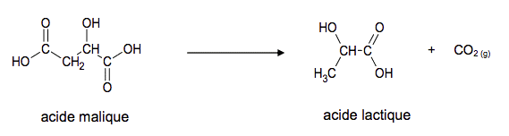 BAC La fermentation malolactique des vins