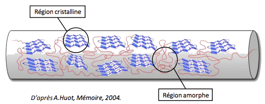 BAC La soie d'araignée